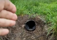 Tree Roots Lift Grade and Damage French Drain | French Drain Systems ...
