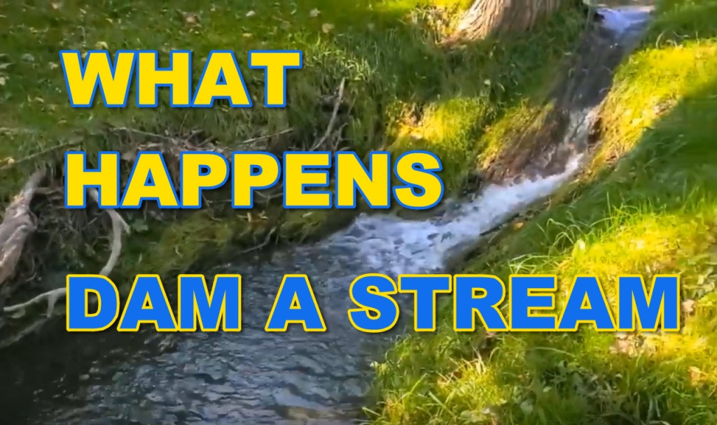 Dam in Stream - French Drain Systems | Curtain Drains | Macomb, Oakland ...